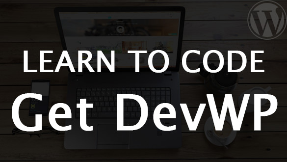 Premium WordPress Themes - PixemWeb